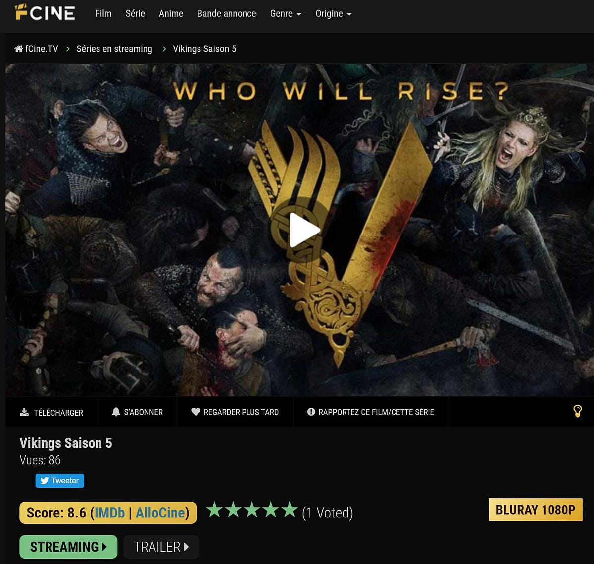 Vikings Saison 5 Streaming Vf Fcine Tv By Fcine Medium