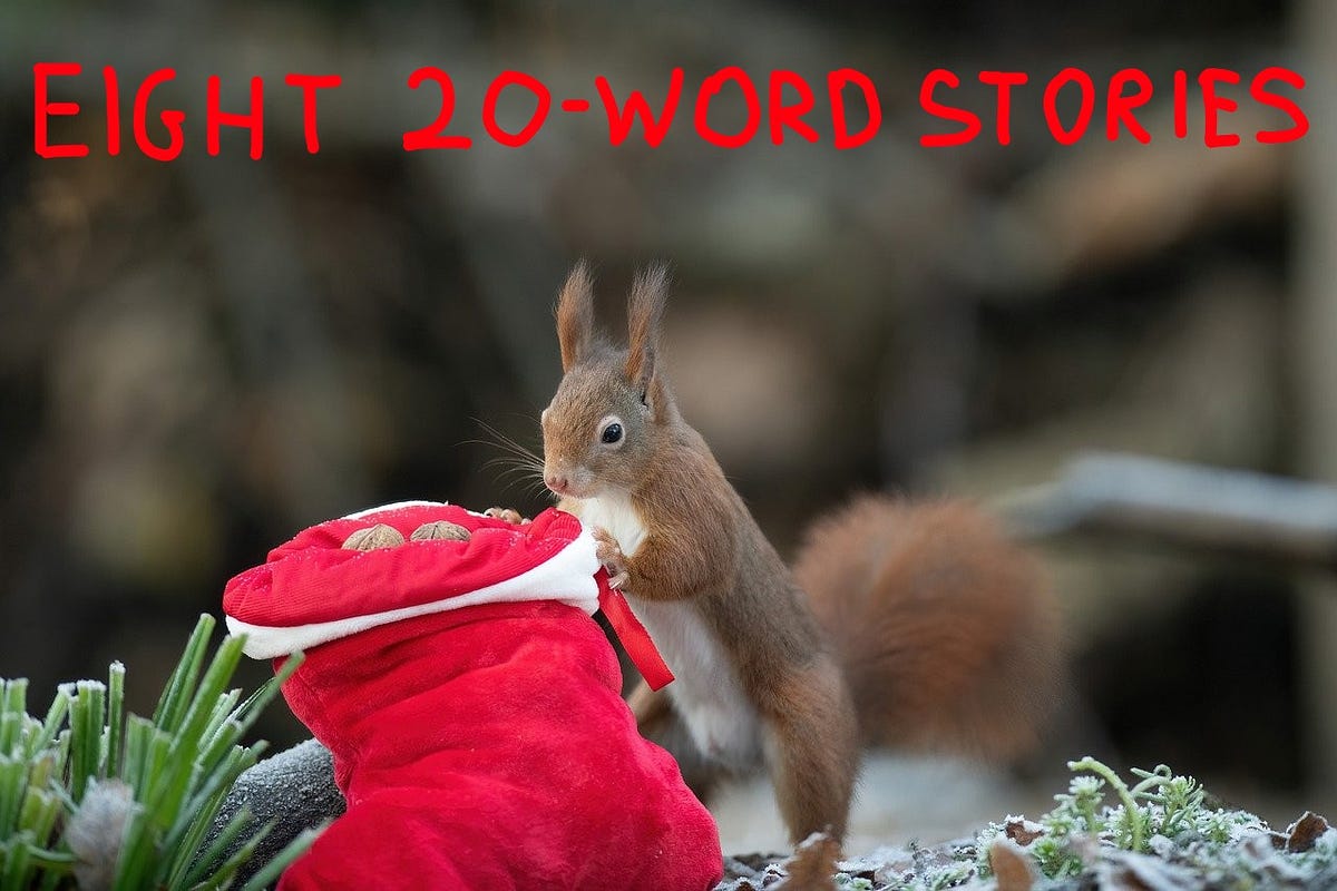Eight 20-Word Stories For Christmas | by Nikolaos Skordilis | VSS365 ...