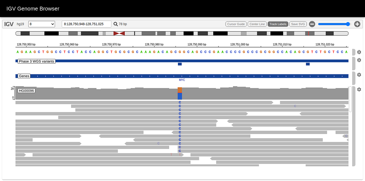 Creating an IGV genome browser using igv.js and React - Ashish Tomar - Medium