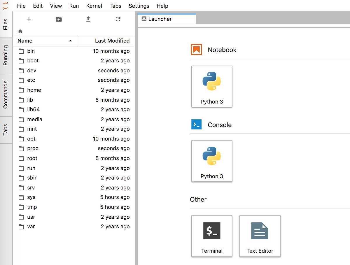 Upgrade to Jupyter Labs. As I described in my previous story… | by Henri van den Bulk ...