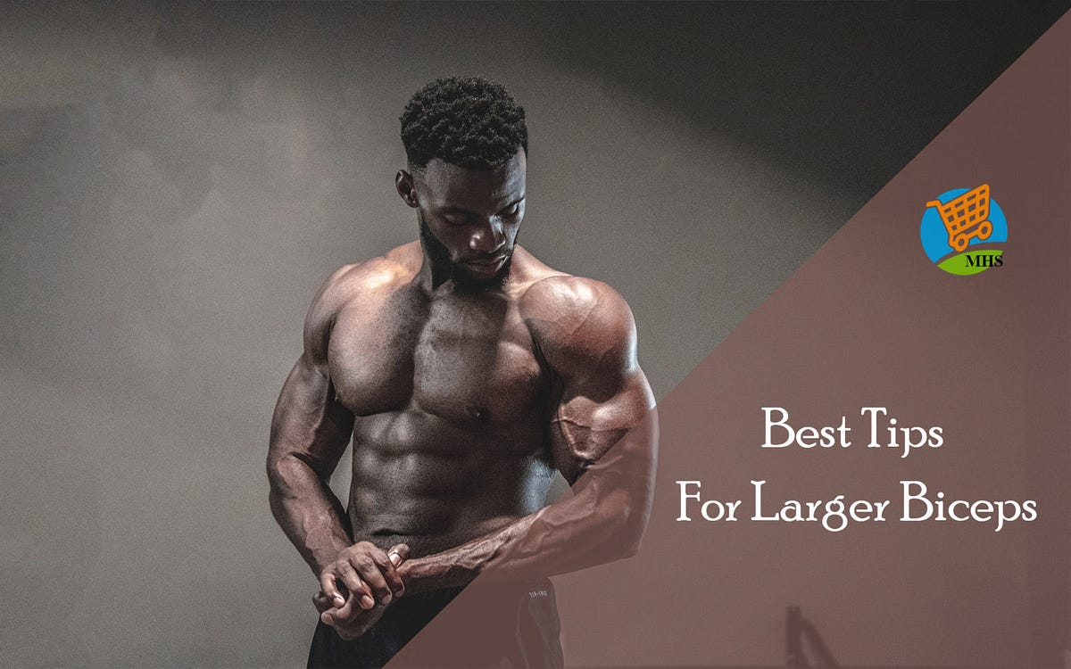 The Best Muscle in Arm Biceps Tips for you such as Barbell, Hammer and ...