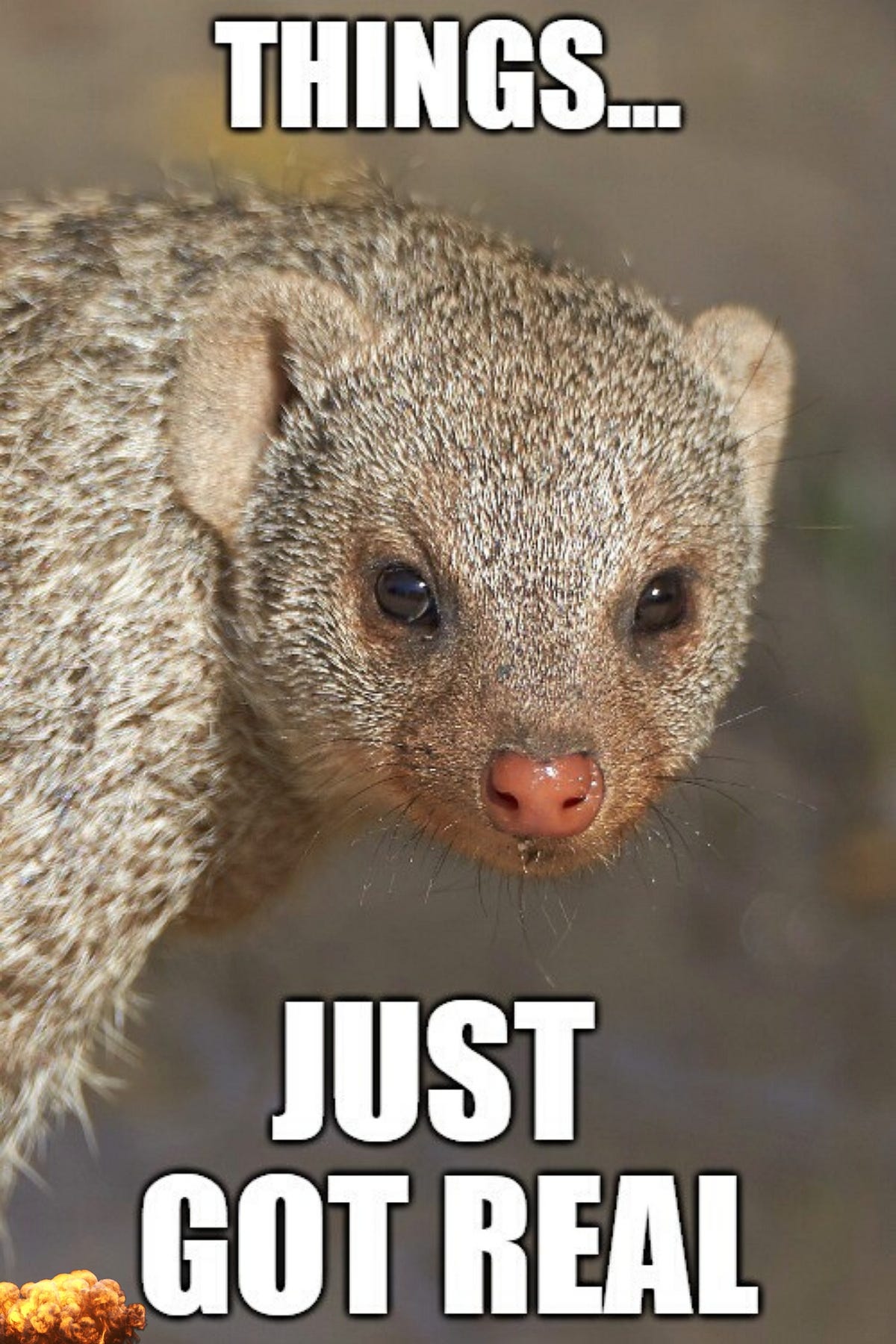 Things… Just Got Real. Considering remote viewing, personal… | by Grin ...