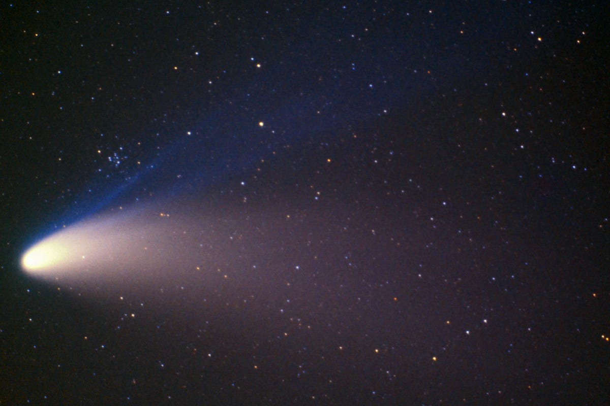 Comet Atlas Could be the Best Comet in Decades | by James Maynard | The ...