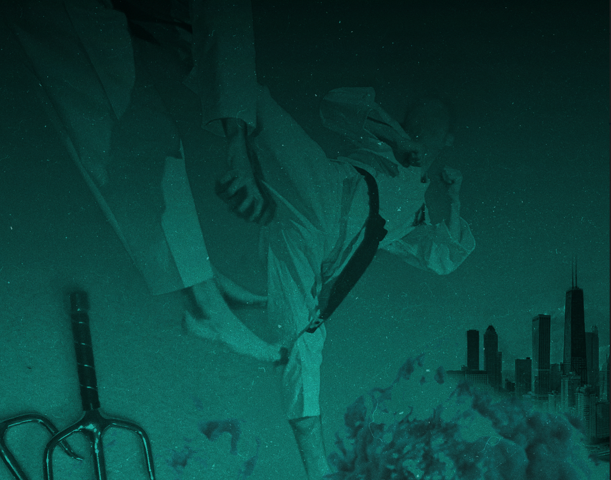 Dojo Wars. A karate power couple in 1960s Chicago… | by Justin ...