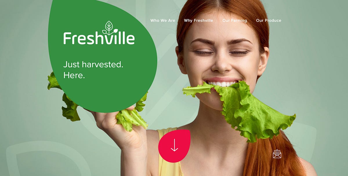 FRESHVILLE.FARM. Freshville are Urban Farmers powered by… | by Clément ...