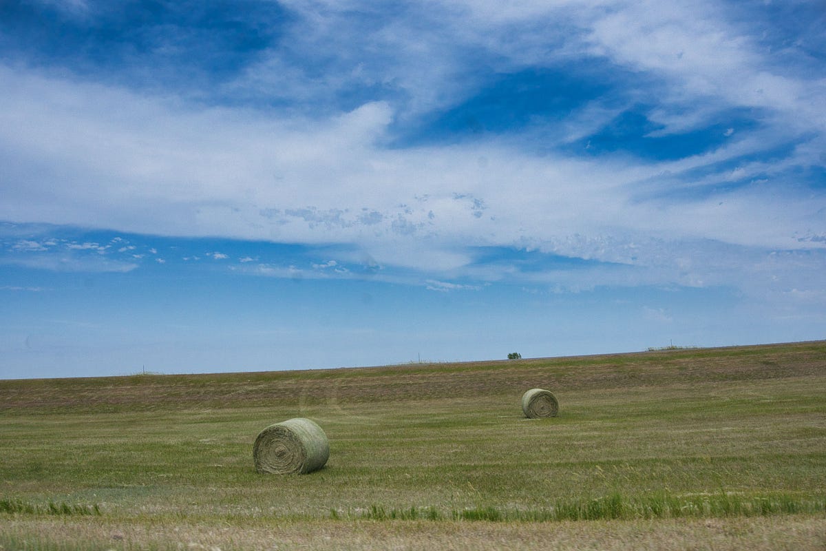 they-see-me-rollin-by-alexandria-radford-medium