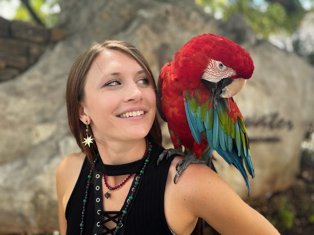 Growing on Giphy with Djemilah Birnie | Brought to you by Eye of the ...