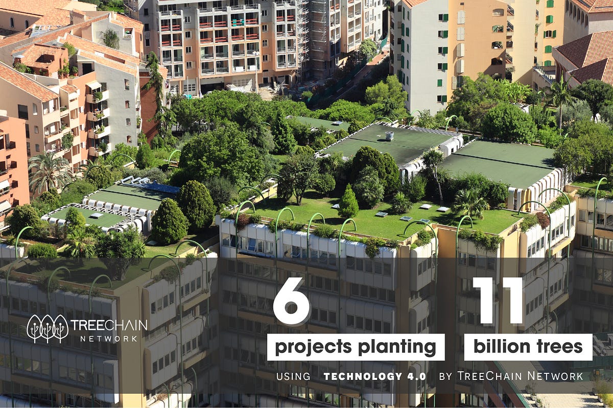 06 projects planting 11 billion trees using technology 4.0 by TreeChain ...