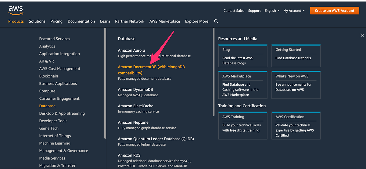 AWS DocumentDB (MongoDB Compatibility) walk through | by Mayank Patel | Medium
