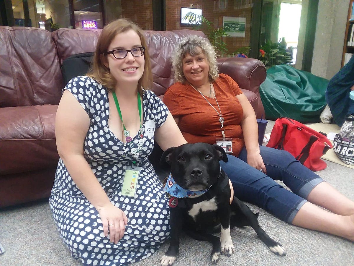 Bibliographic Comfort: Therapy Dogs in the Library | by Alyssa Belding ...