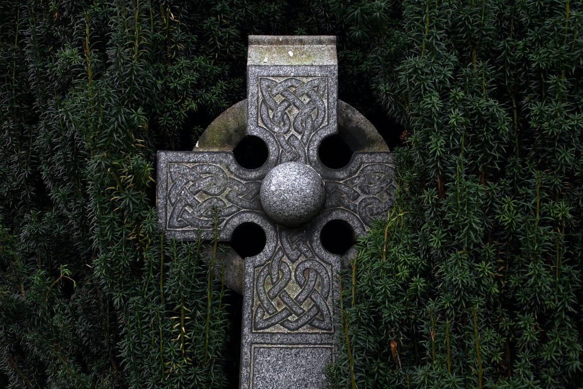 Castle Confusion — Quinn’s Late Night Discovery | by Jennifer McDougall ...