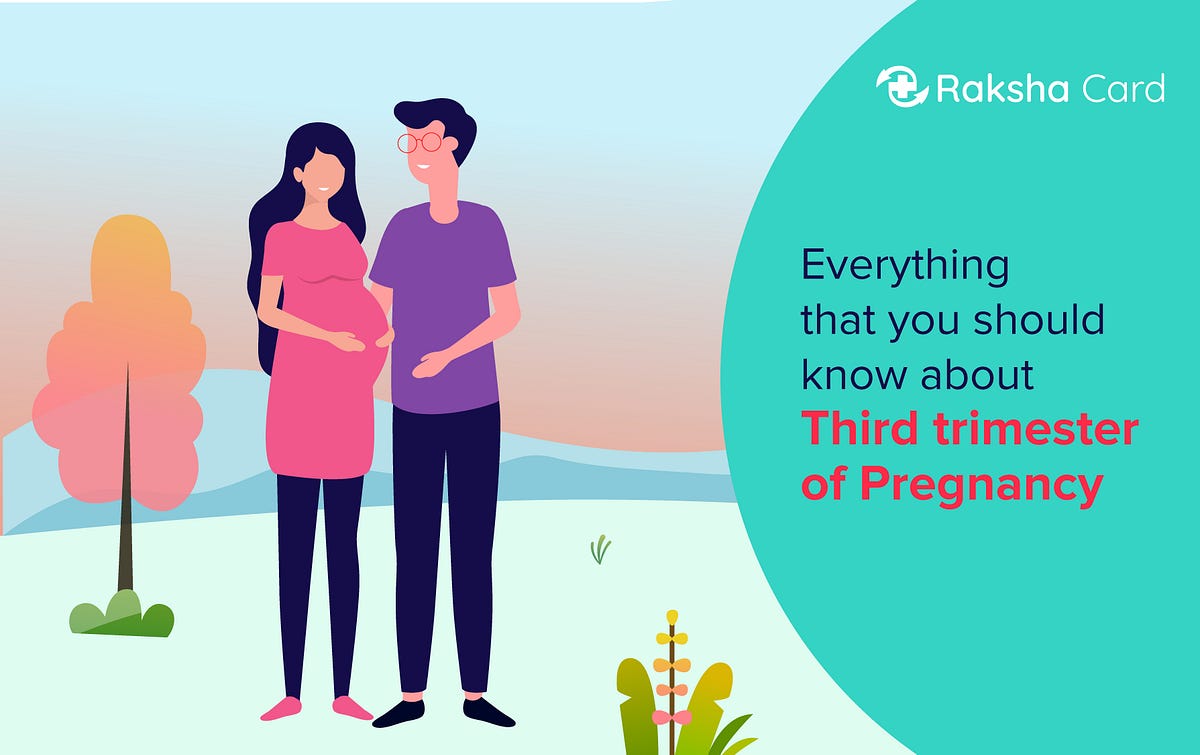 Everything That You Should Know About Third Trimester of Pregnancy | by ...