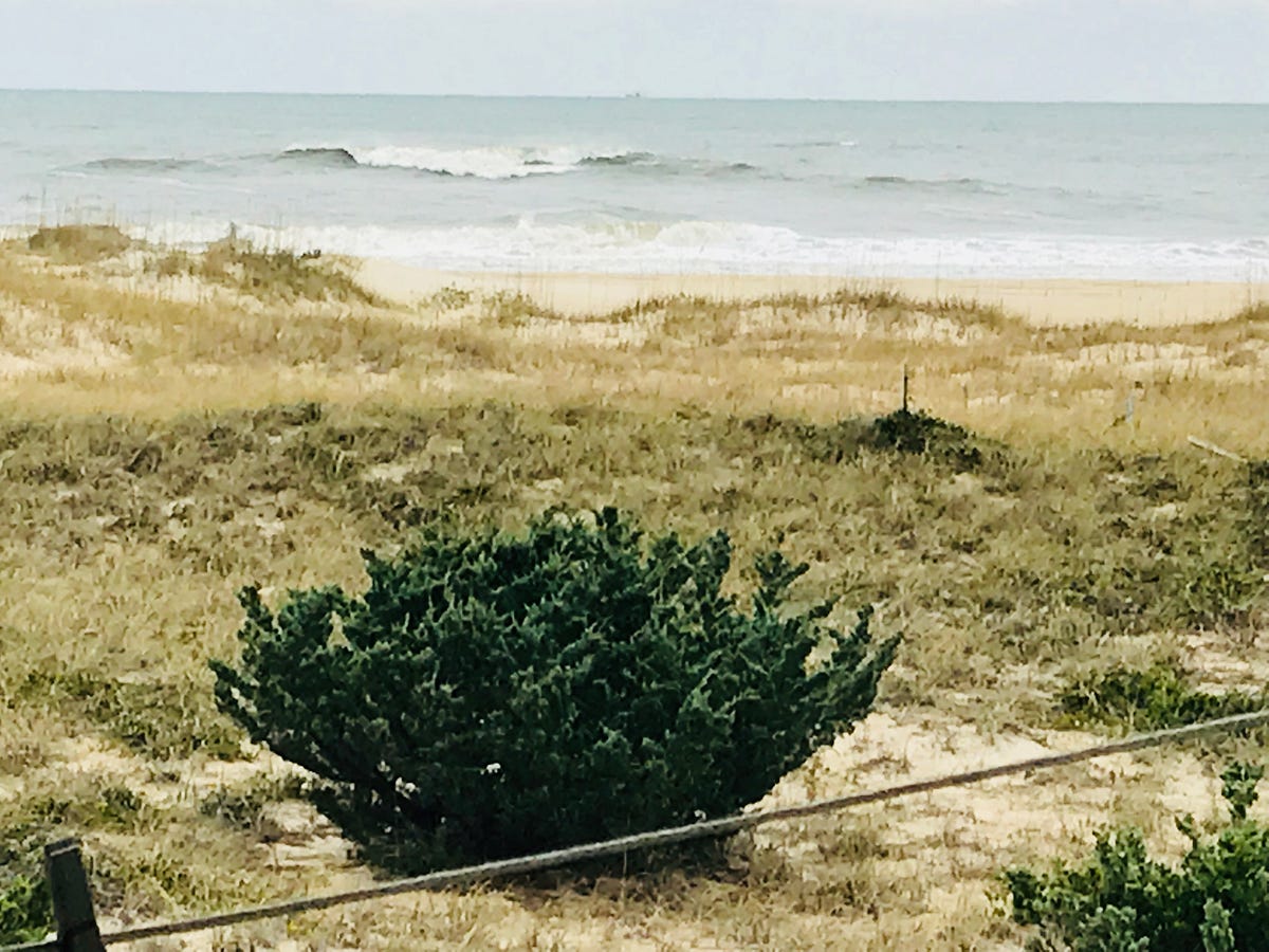 Thanksgiving By The Sea Turkey By The Sea Sounds Rough Such A By Thanksgiving By The Sea Turkey By The Sea Sounds Rough Such A By