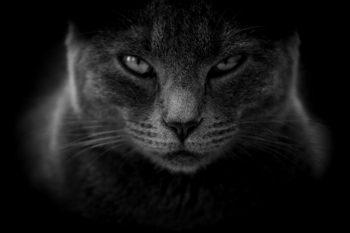 You Can t Control Yourself When You Get Emotional By Kim Nilsson you-can-t-control-yourself-when-you-get-emotional-by-kim-nilsson