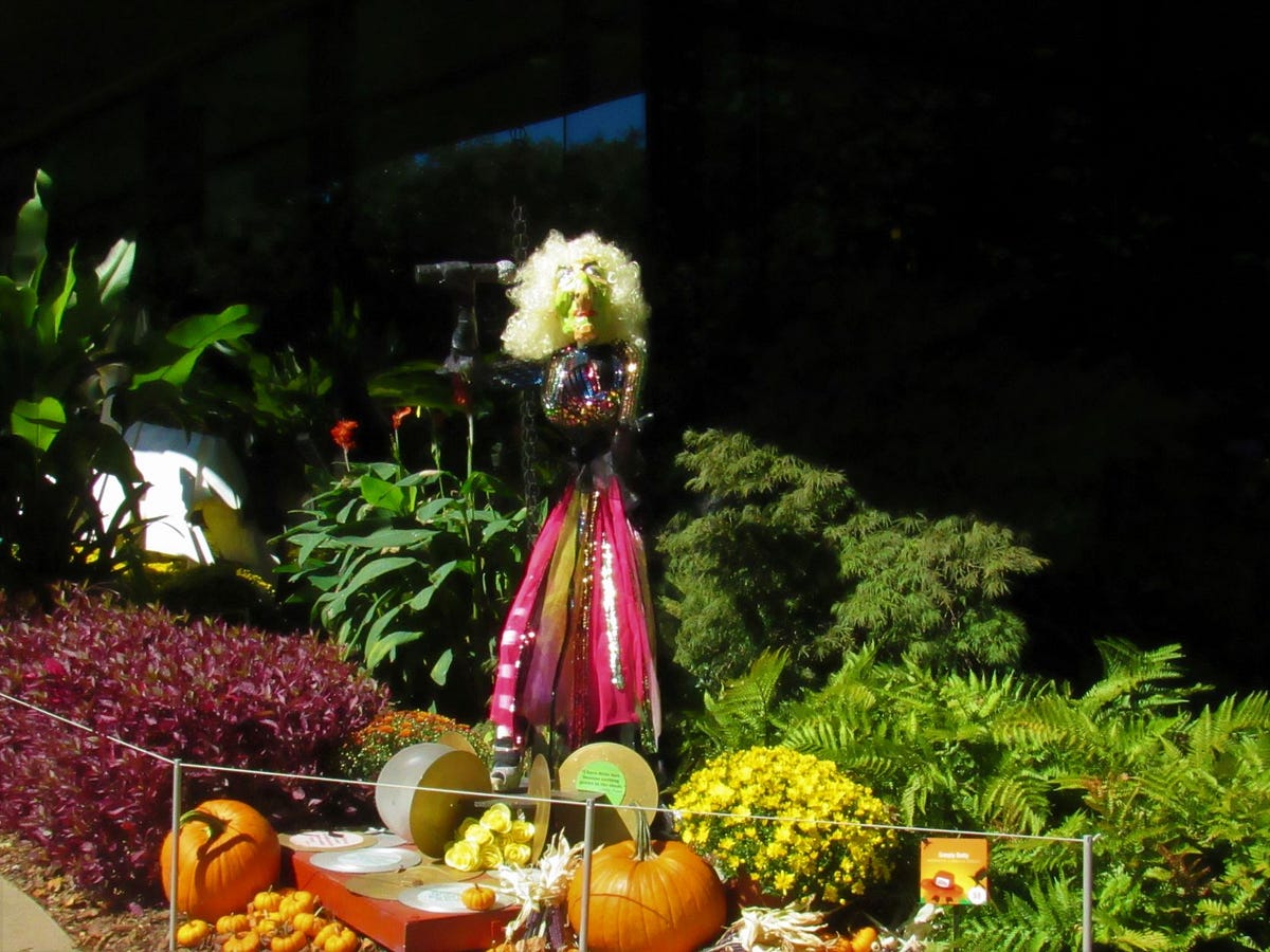Halloween at the Atlanta Botanical Gardens | by Sandra B | Weeds ...