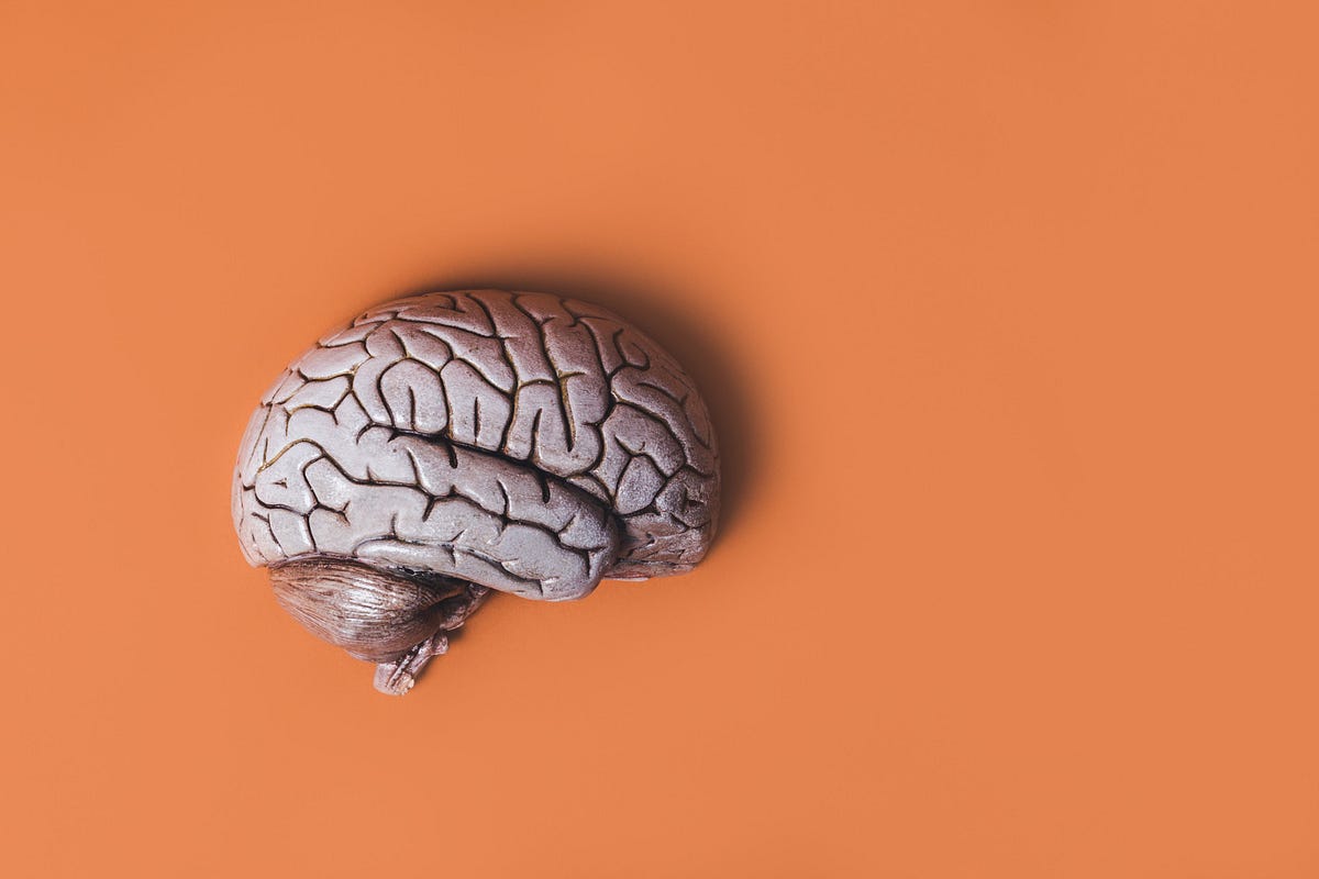 24 Great Facts about Human Brain That You Should know | by M.Nithursan ...