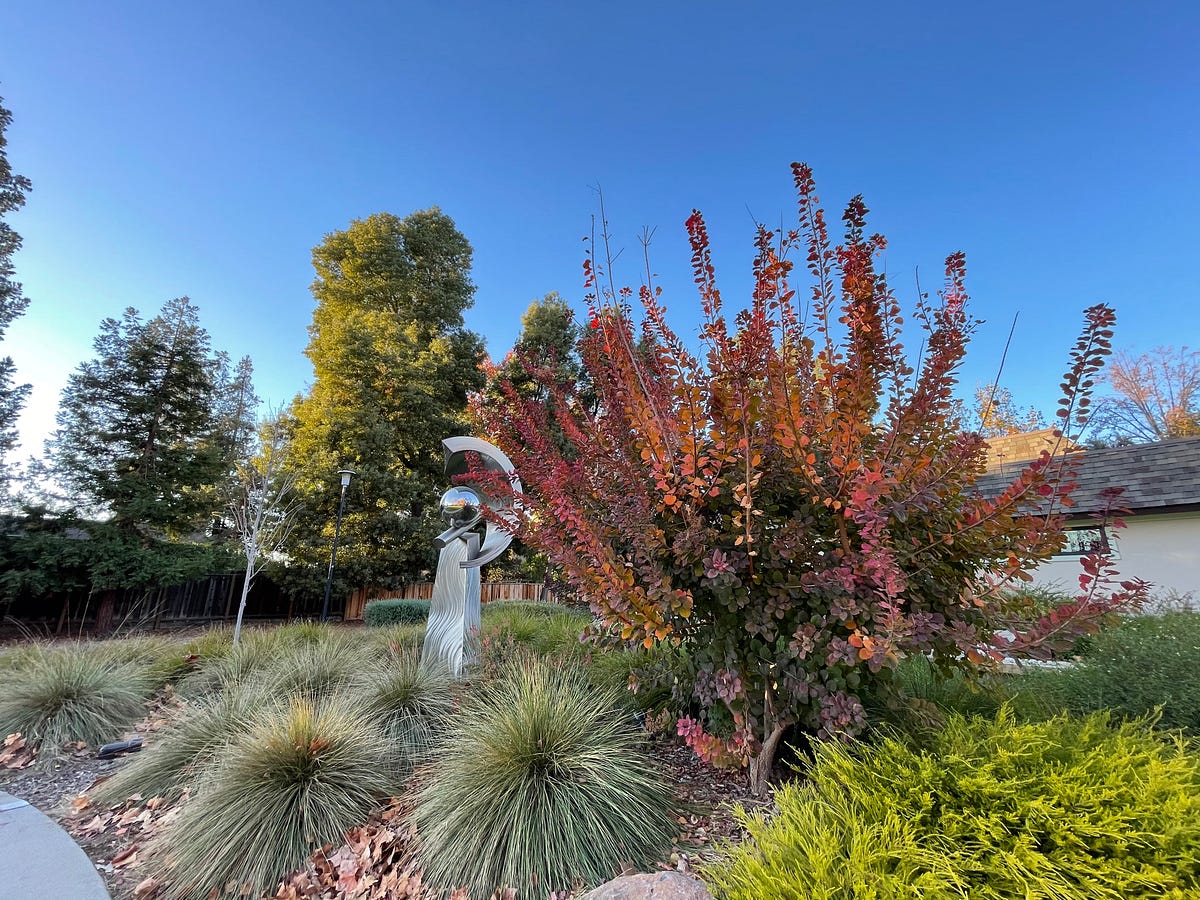 Functional Programming 之 Javascript 簡單概念與教學 ( 以 Ramda 為例 ) / reduce / map / filter / pipe … | by ...