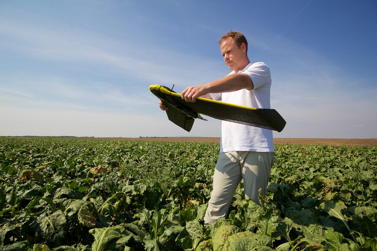 Gamaya Visions: Os drones e o futuro da agricultura de precisão | by ...