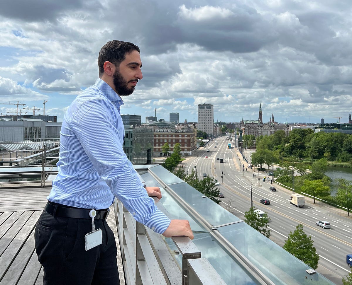 What I learned as a Data Scientist at Deloitte | by Tarek Ghanoum | Jul ...