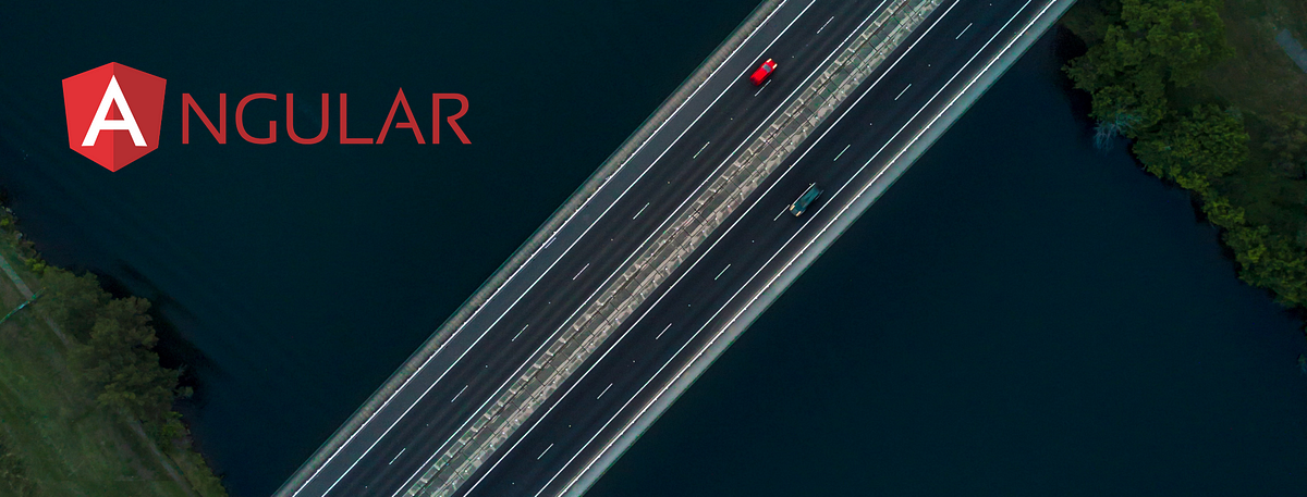 Passing Data Through Custom Attribute Directive In Angular Angular