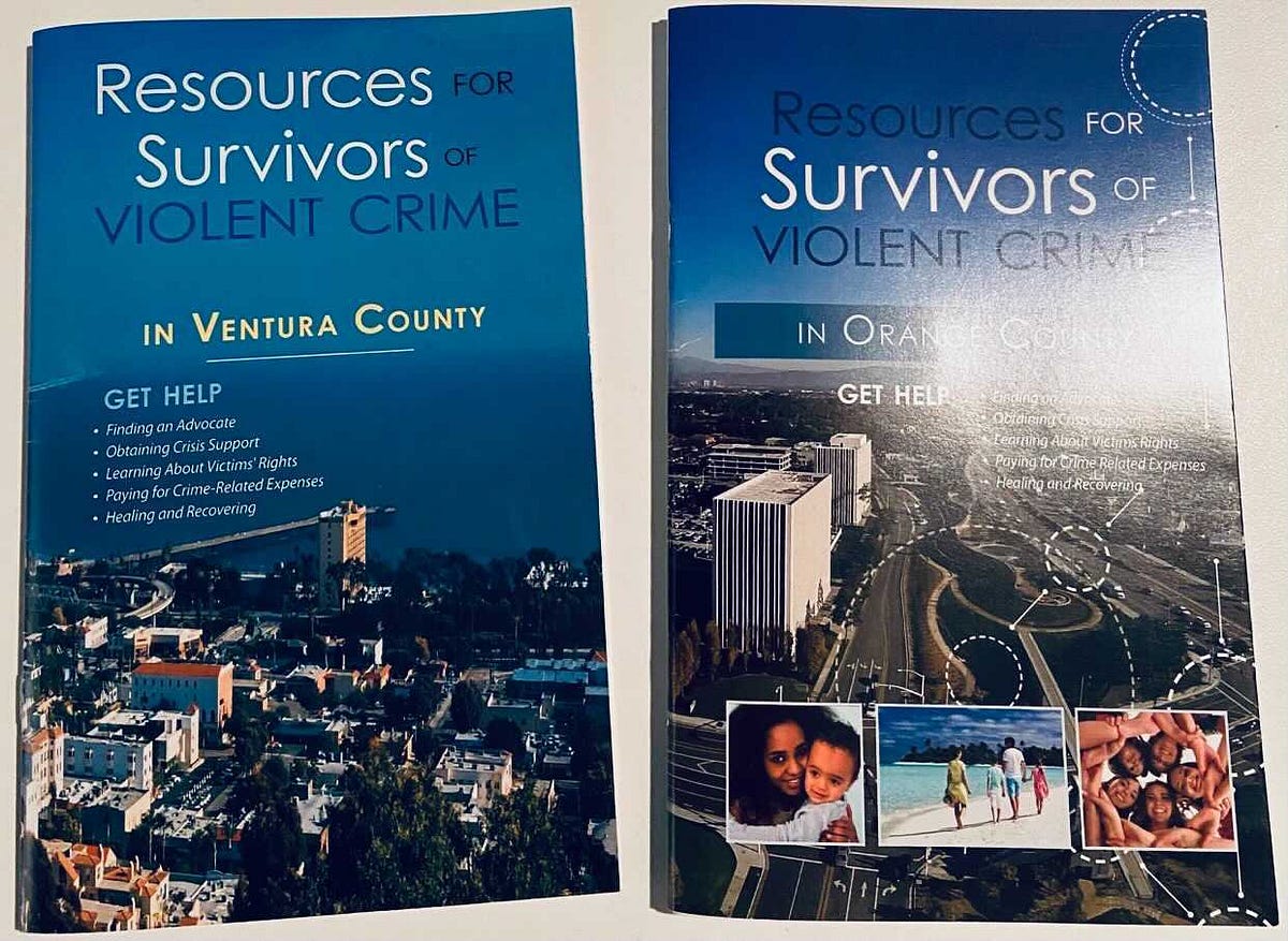 Past Project Reveal with Crime Survivors | by Commit the Change @ UCI | Medium