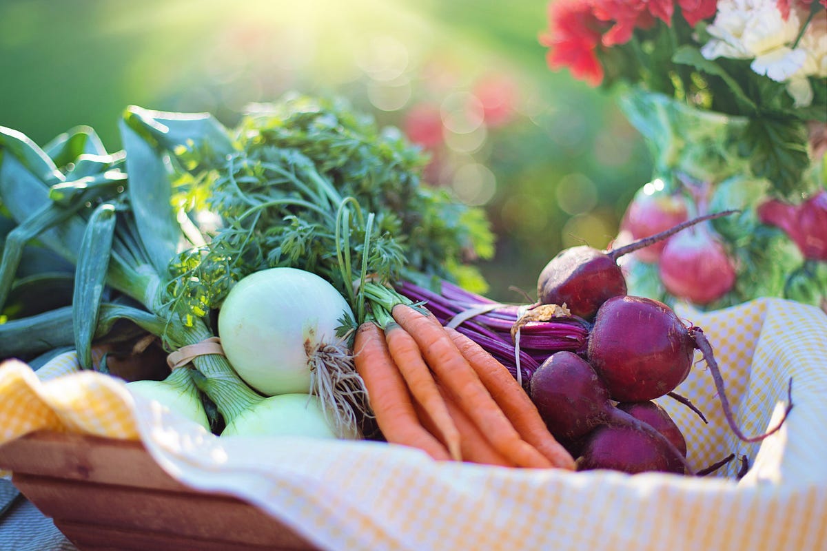 Organic Farming and its Benefits. Organic farming produces food while ...