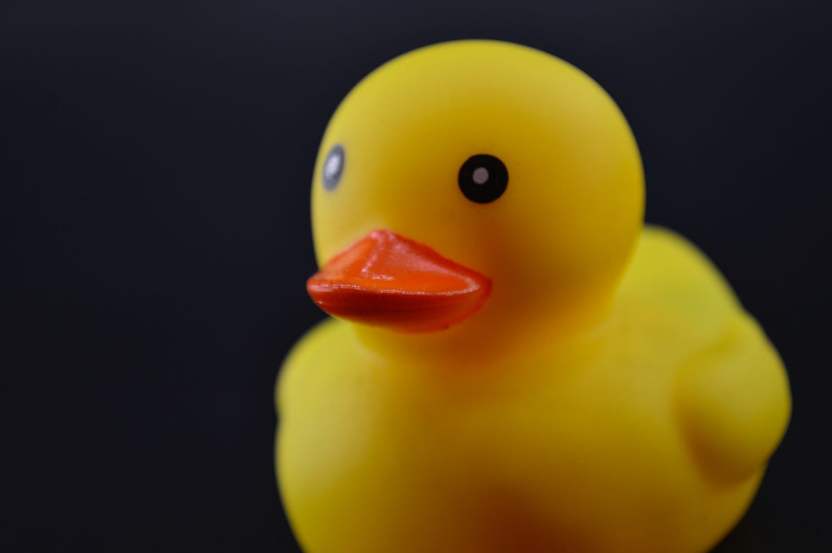 Rubber Ducky. “Hello, my new little friend,” I say. | by Hana Lang ...