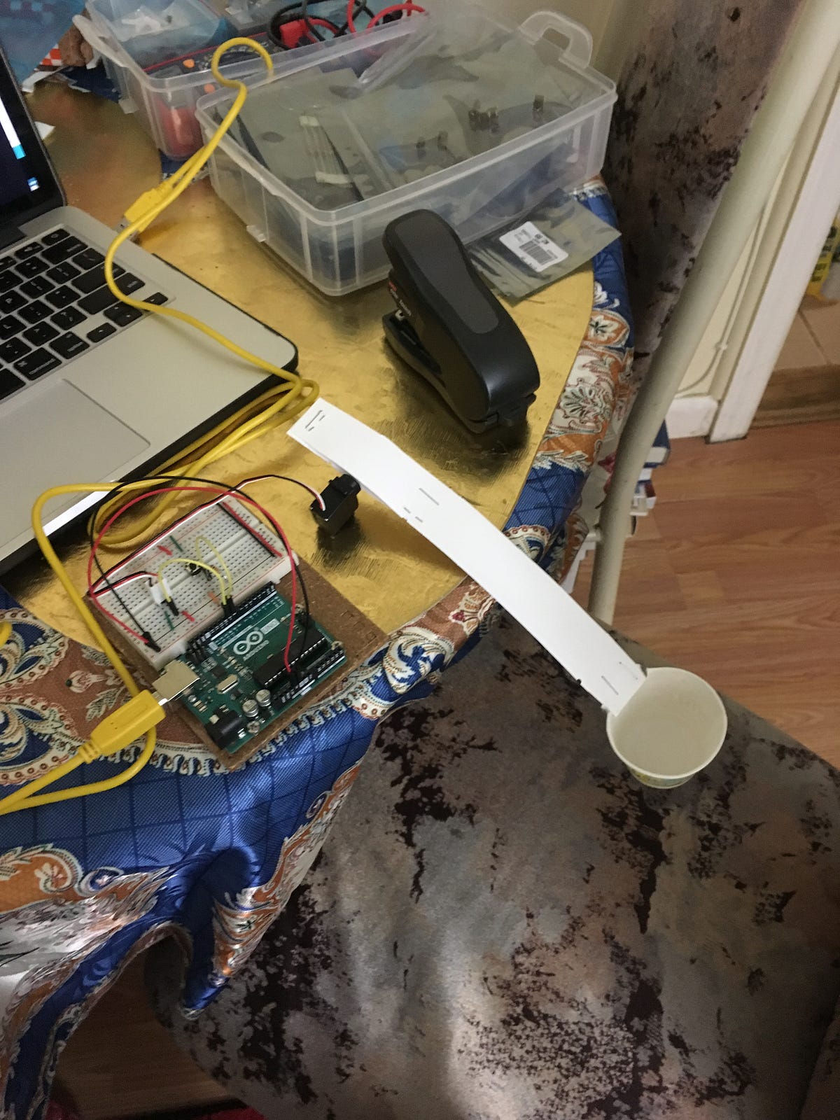 A Catapult for a Kitty. My cat will chase and hunt anything… | by Lisa ...