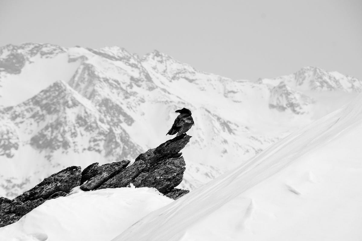 Sinking in Snow: A Prose-Poem. Never lost any magic | by J.D. Harms ...