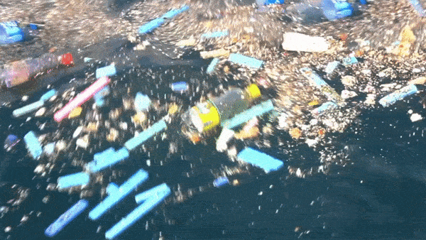 The Mission To Clean Our Oceans Using The Internet | by ekoru | ekoru ...