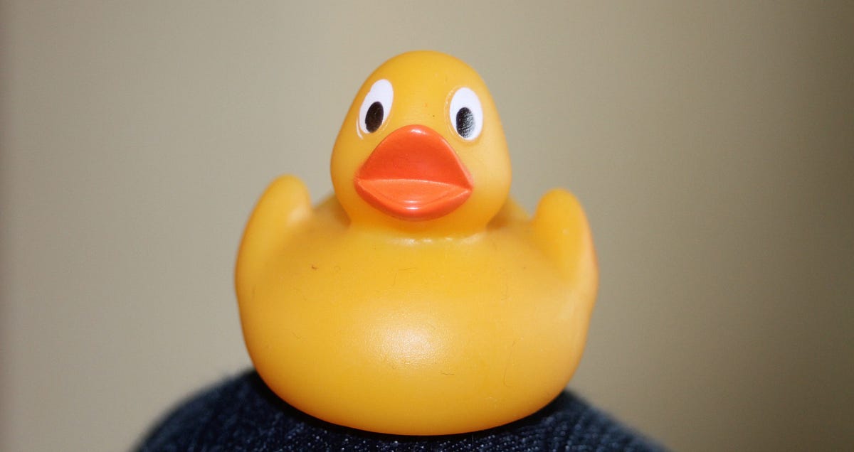 Rubberducking and the Beginner’s Mind - fastforward-websolutions - Medium