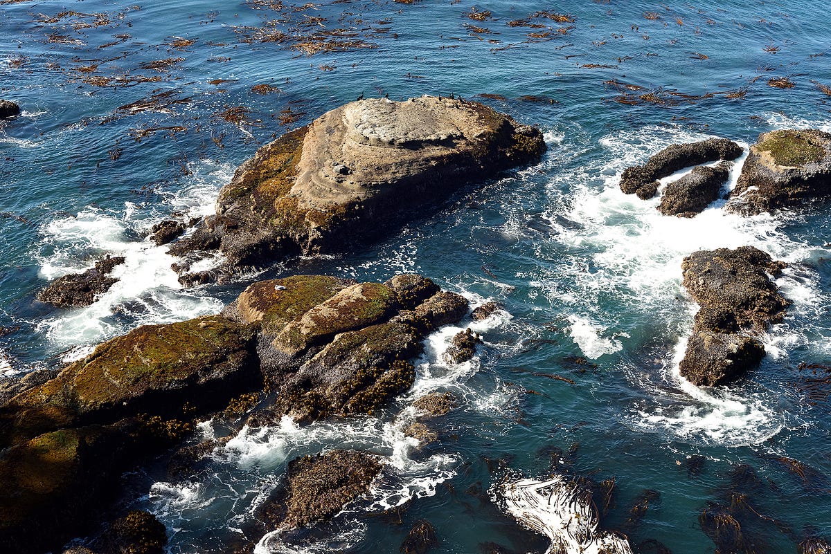 My View of the Pacific; It Was a Terrific Hike I Love | by Charlie ...