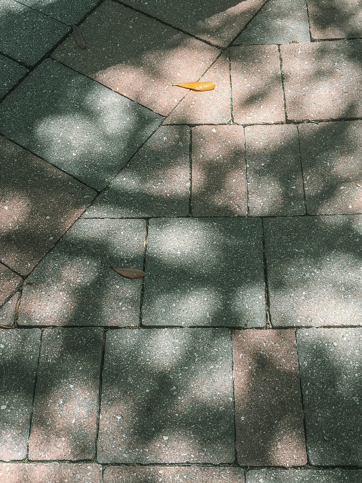 April 9. 2019 — THE IMPORTANCE OF THE NOW | NOT LATER | by Steven ...