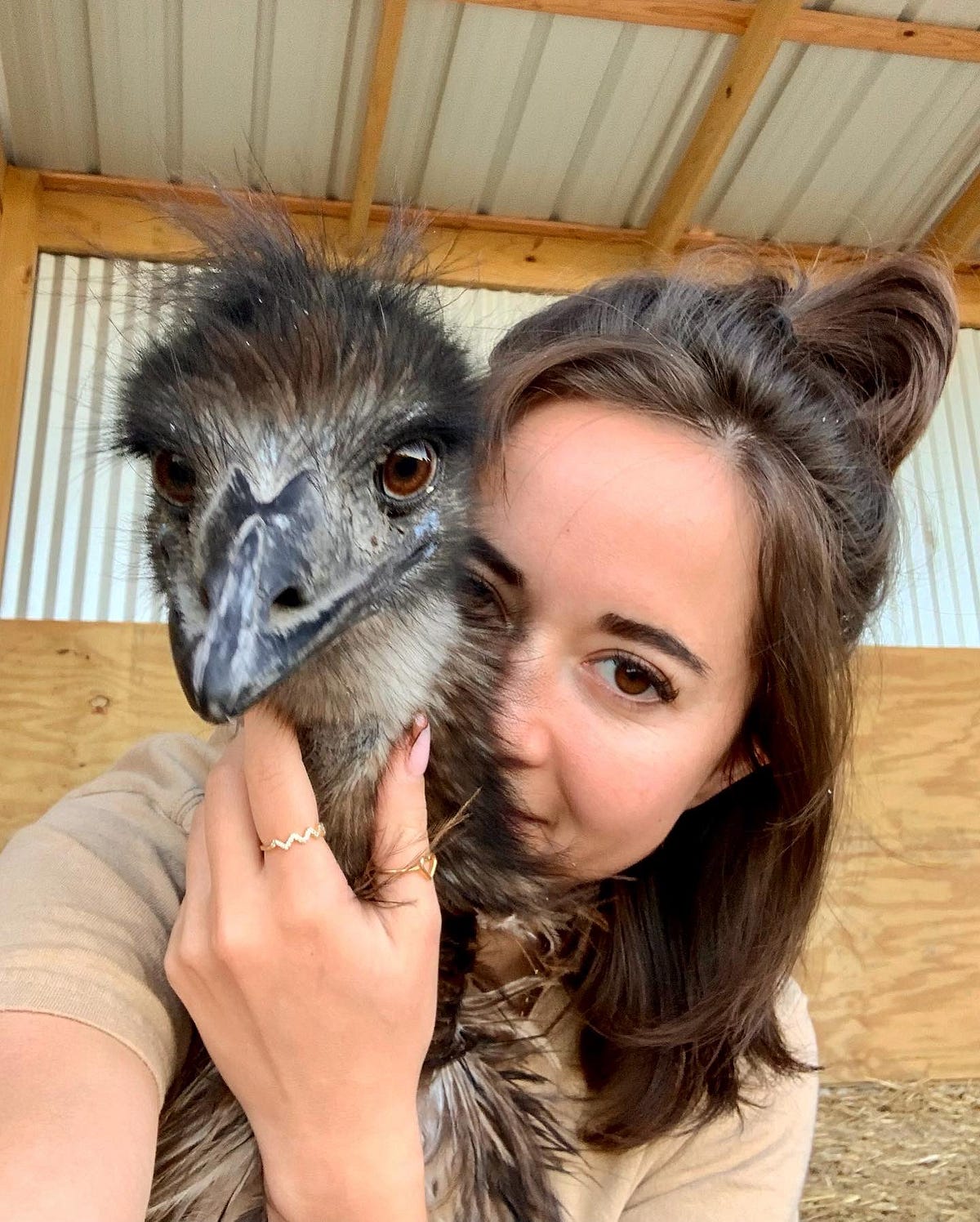 Maya Higa: Bringing conservation closer to home | by Sian Neely ...