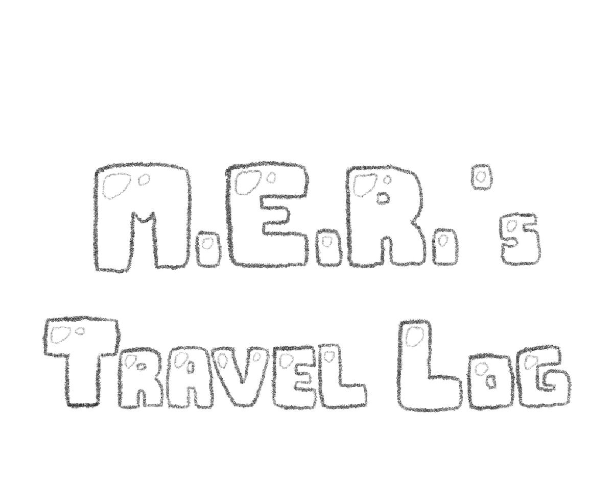 M E R s Travel Log CeluvPlay Medium m-e-r-s-travel-log-celuvplay-medium