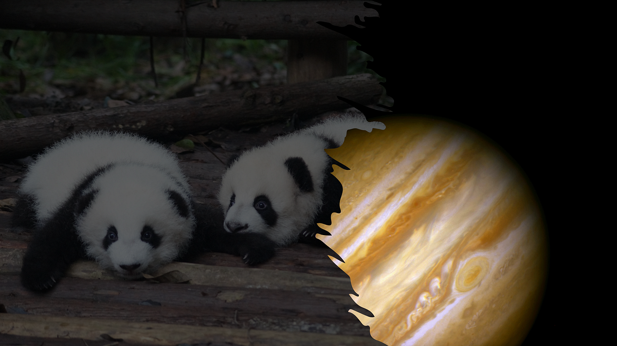 UK Bank Holidays with Pandas on Jupyter | by Simone Spaccarotella | BBC ...