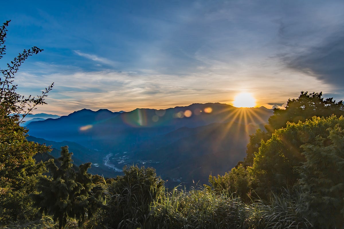 Sacred Tree, Sea of Clouds, Behold the Epic View on Alishan, Taiwan ...
