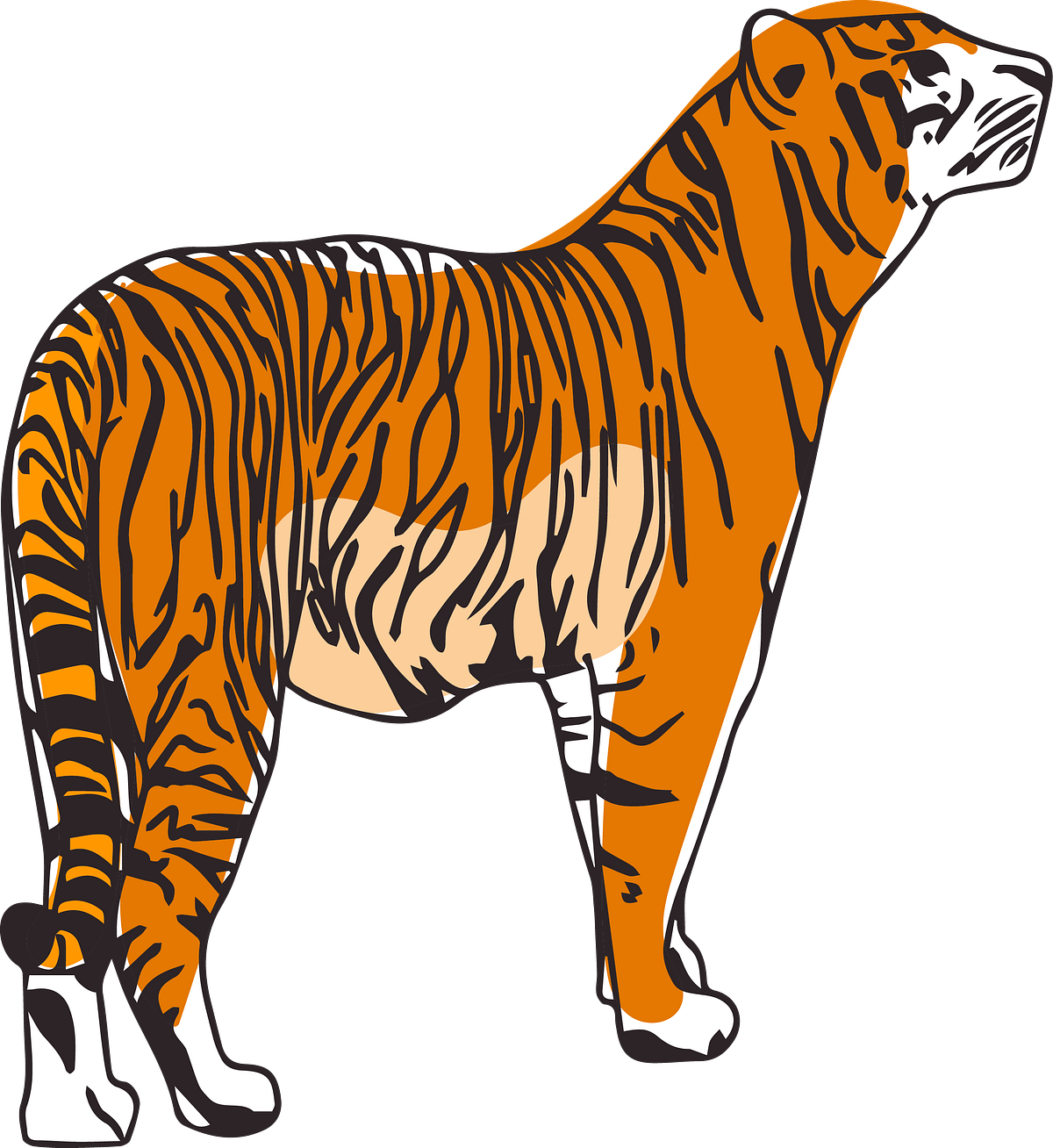 Why Panthera Run Panthera Medium Why Panthera Run Panthera Medium