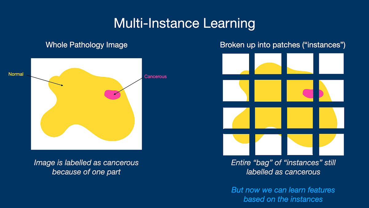 Multiple-Instance Learning | One minute introduction | by Jeffrey Boschman | One Minute Machine ...