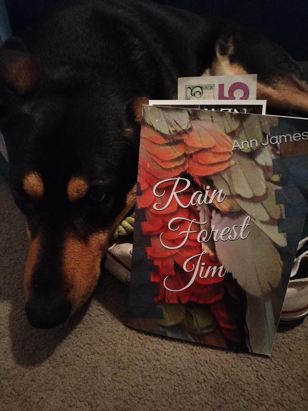 If You Were Stuck in the Rainforest With Only One Book to Read, What ...