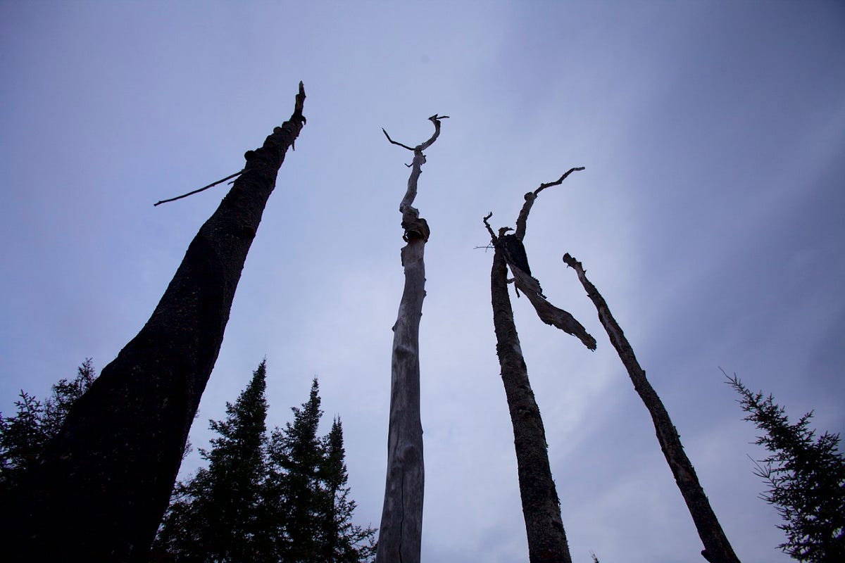 How I’m Dealing With My Fear of Going Outside | by b wrauley | The ...