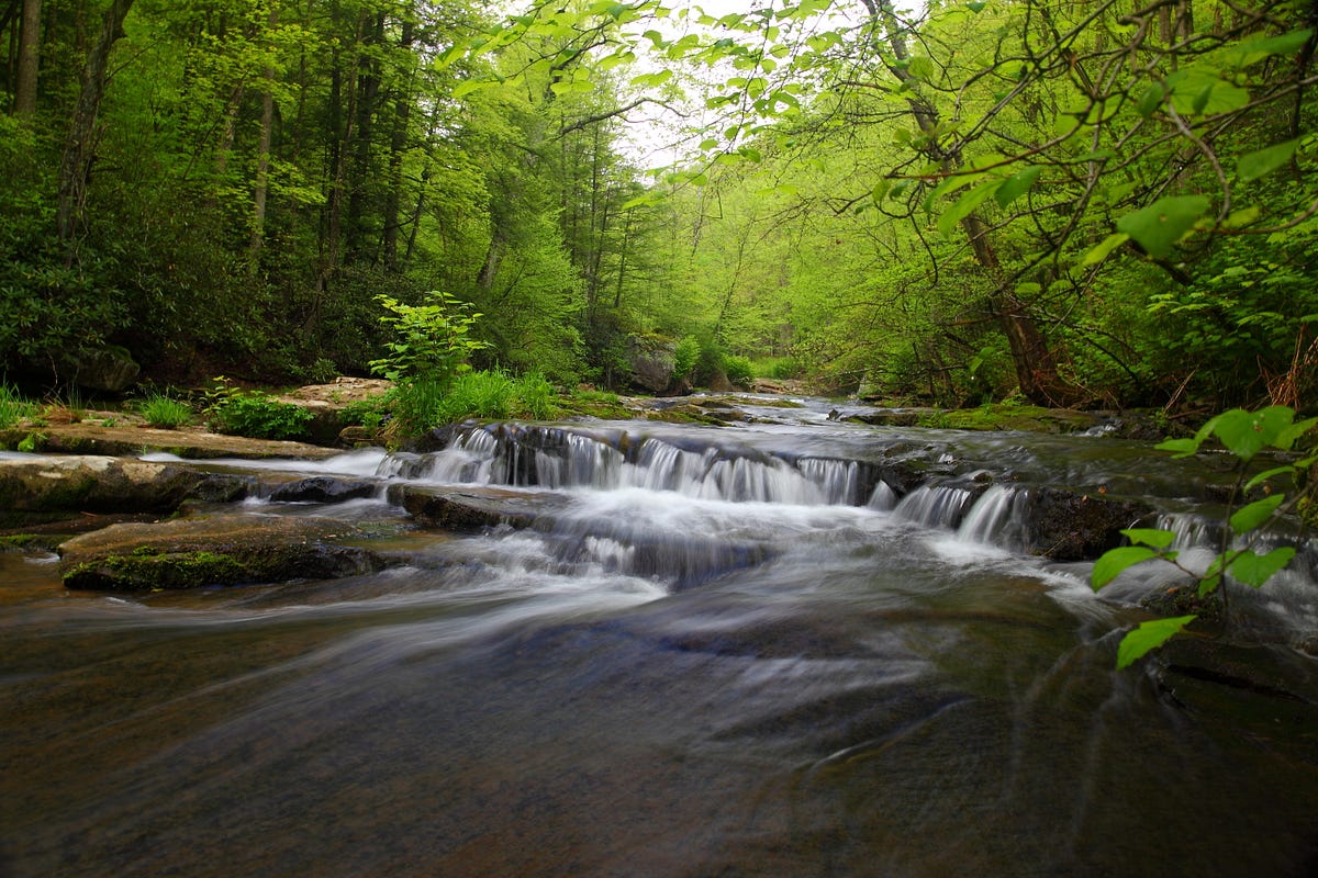 All Our Waters Need Protection from Pollution | by Rhea Suh | Natural ...
