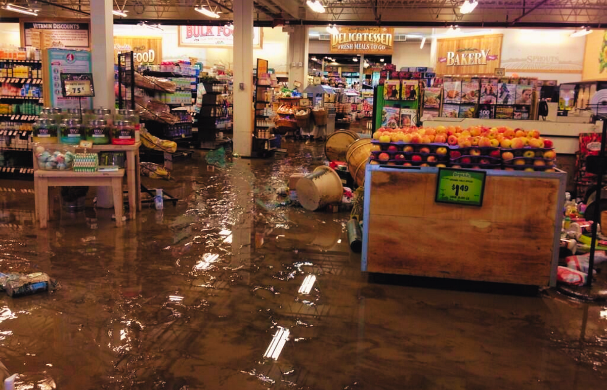 The Whole Foods Flood of 2022. The missing link no one’s talking about ...