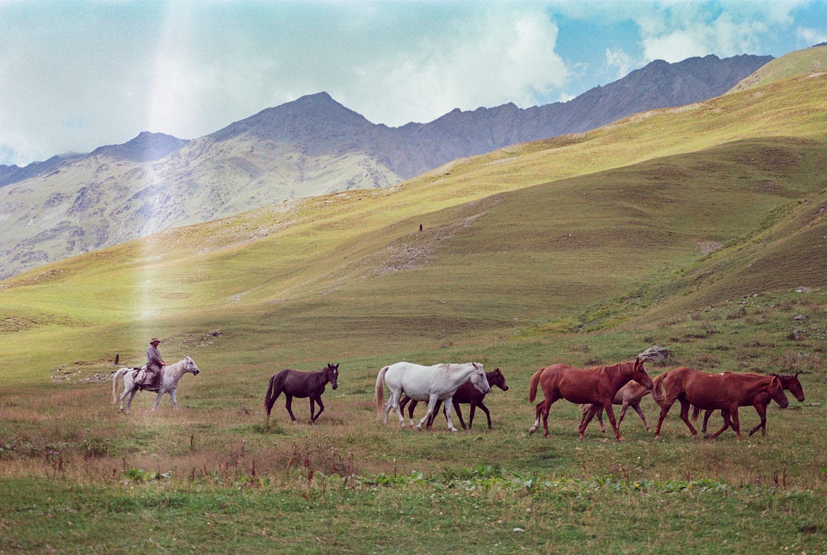 Lessons from Tusheti’s Shepherds. Arina Abbott | by Mad Agriculture ...