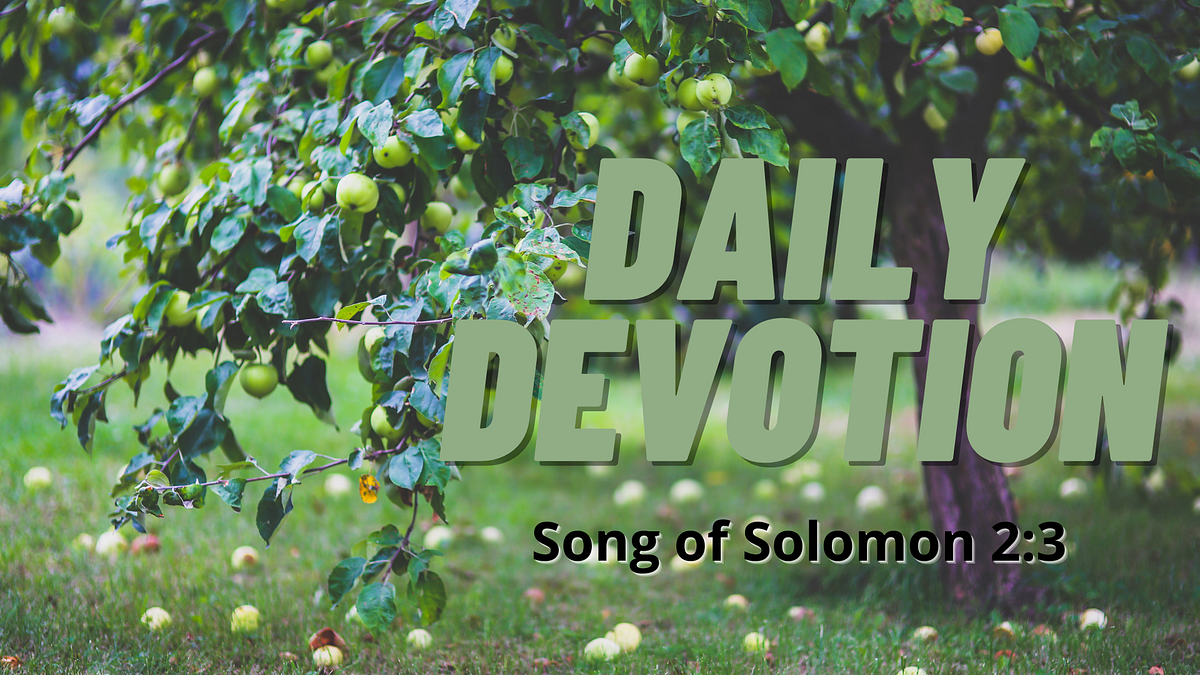 Delight In The Shade. Song of Solomon 2:3 | by Rich Bitterman | Sep ...