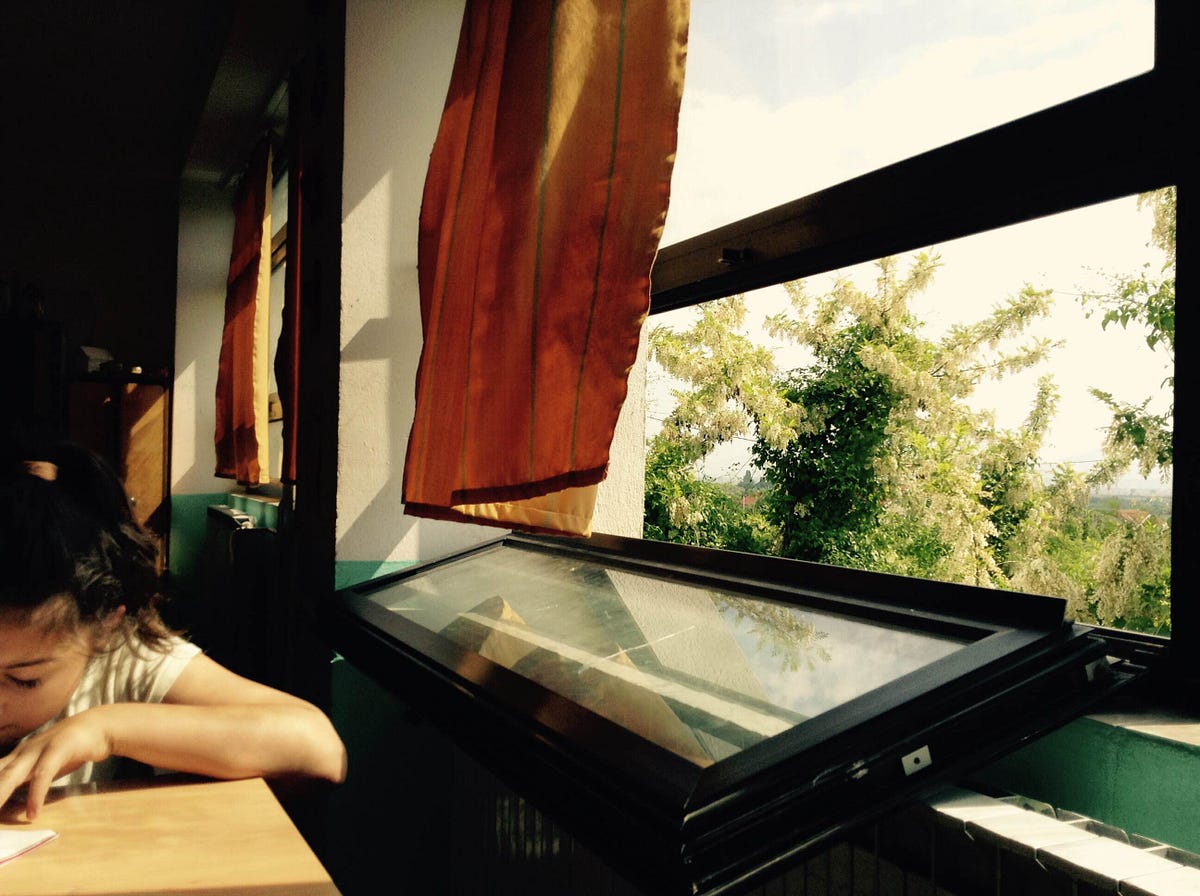 The Student View. Reflections from Students of the Dreams… | by Dreams ...