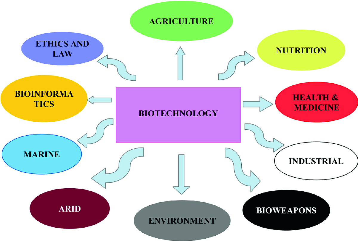 why-biotechnology-is-the-need-of-time-by-mahnoor-medium