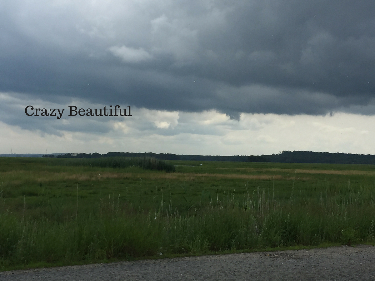 Crazy Beautiful | by Wendy Brunner | The Winding Road | Medium