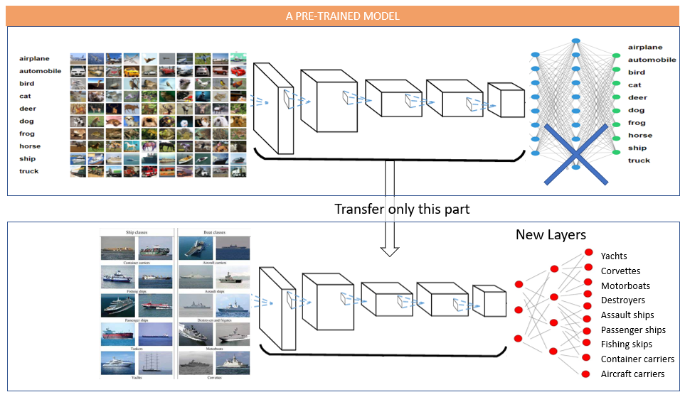 Transfer Learning for Image Classification — (6) Build and Fine-tune the Transfer Learning Model ...