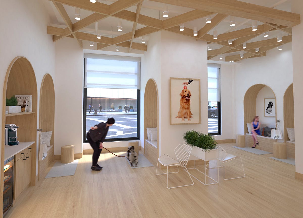 Small Door is reimagining the veterinary experience | by Primary ...
